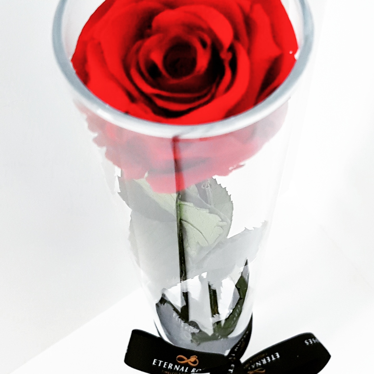 Gallery – Eternal Roses