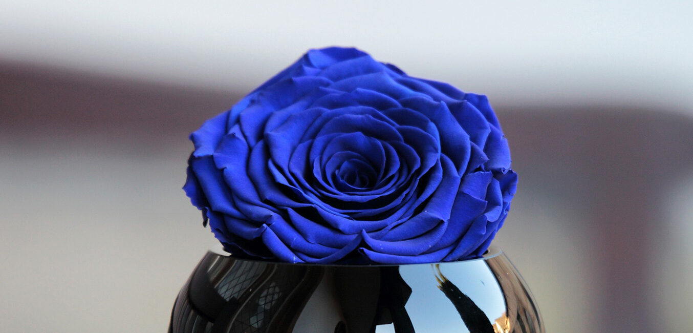 Eternal Roses – Timeless & Treasured Real Roses.