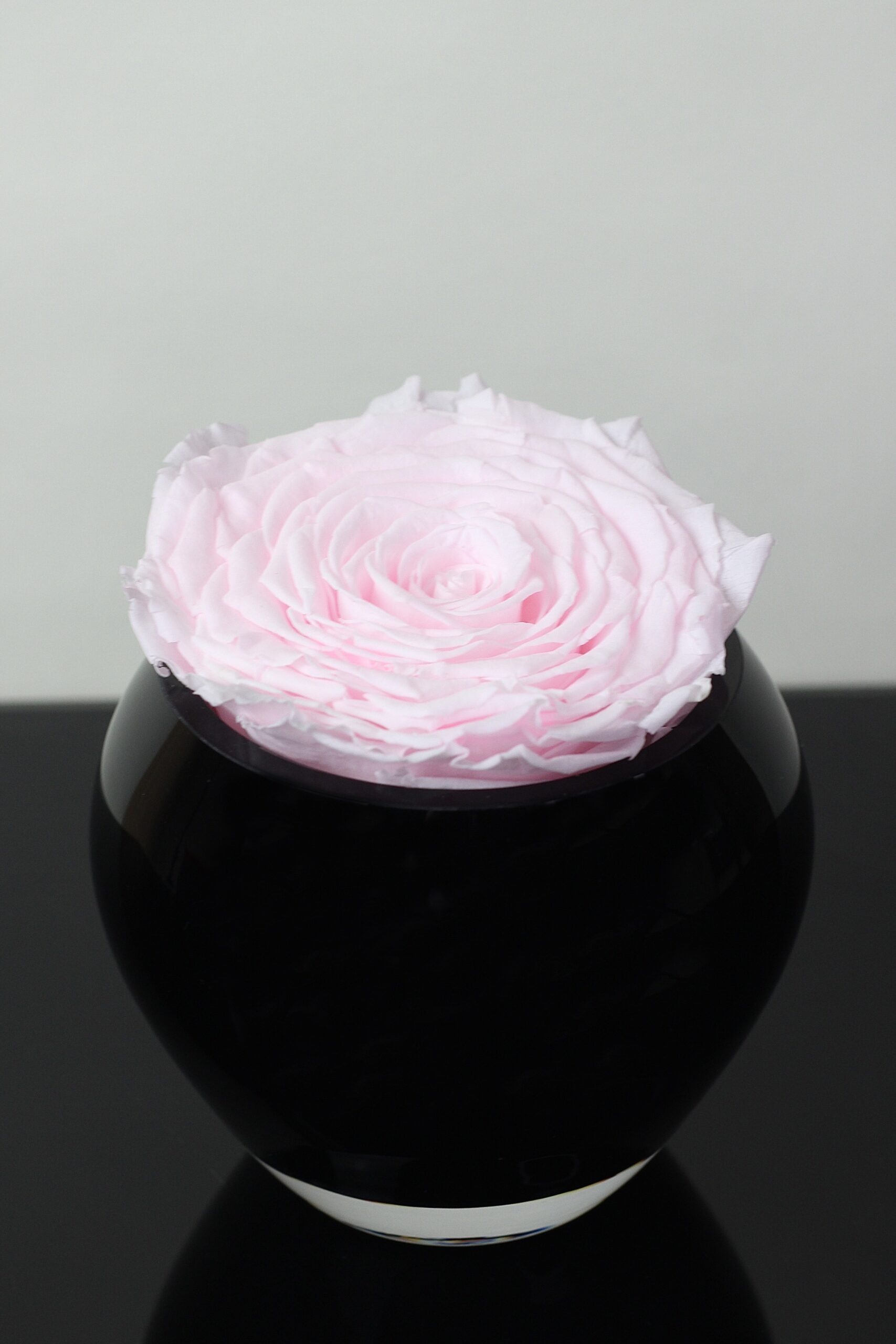 The Enigma – Baby Powder – Eternal Roses