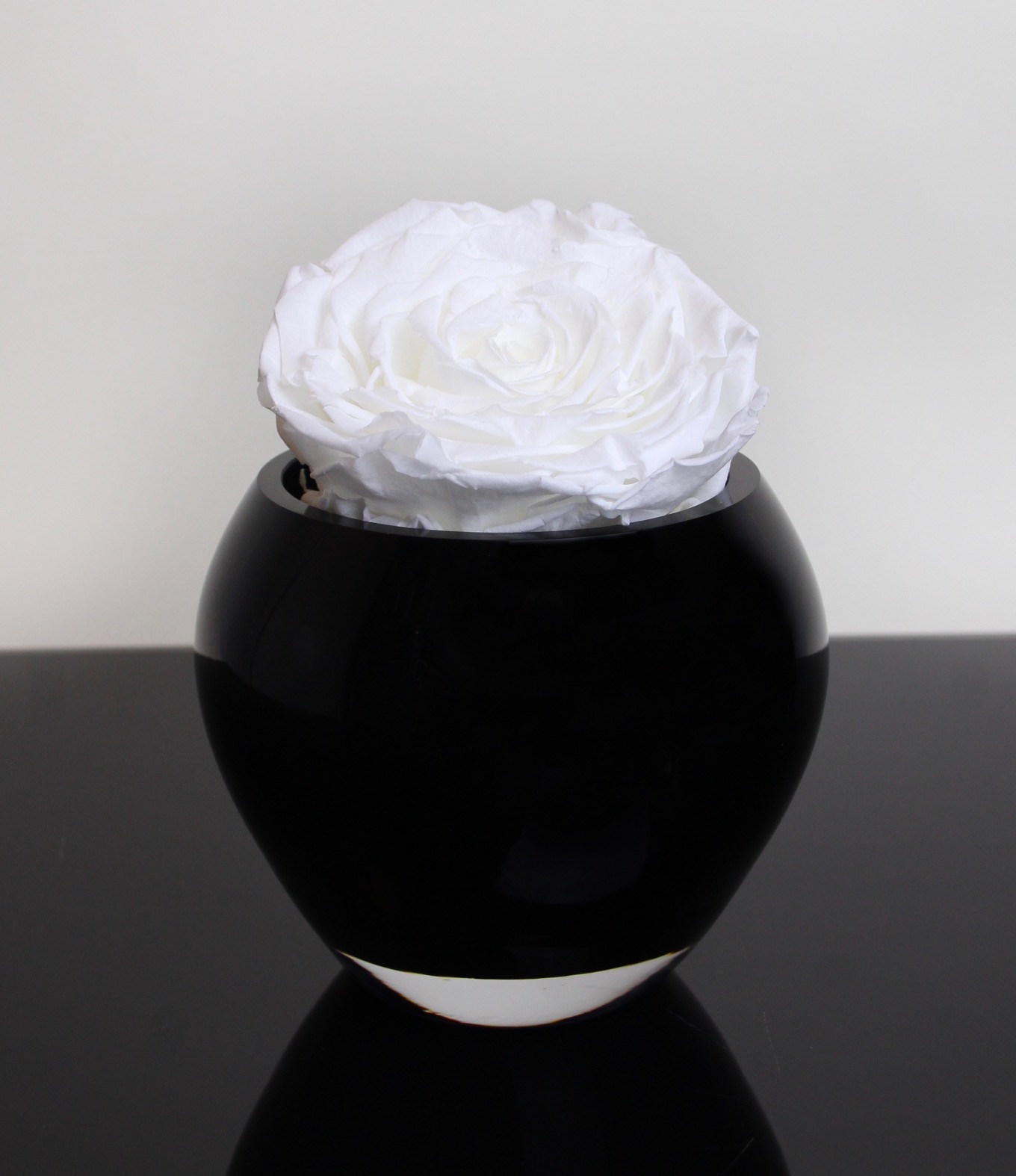 The Enigma – Pure White – Eternal Roses