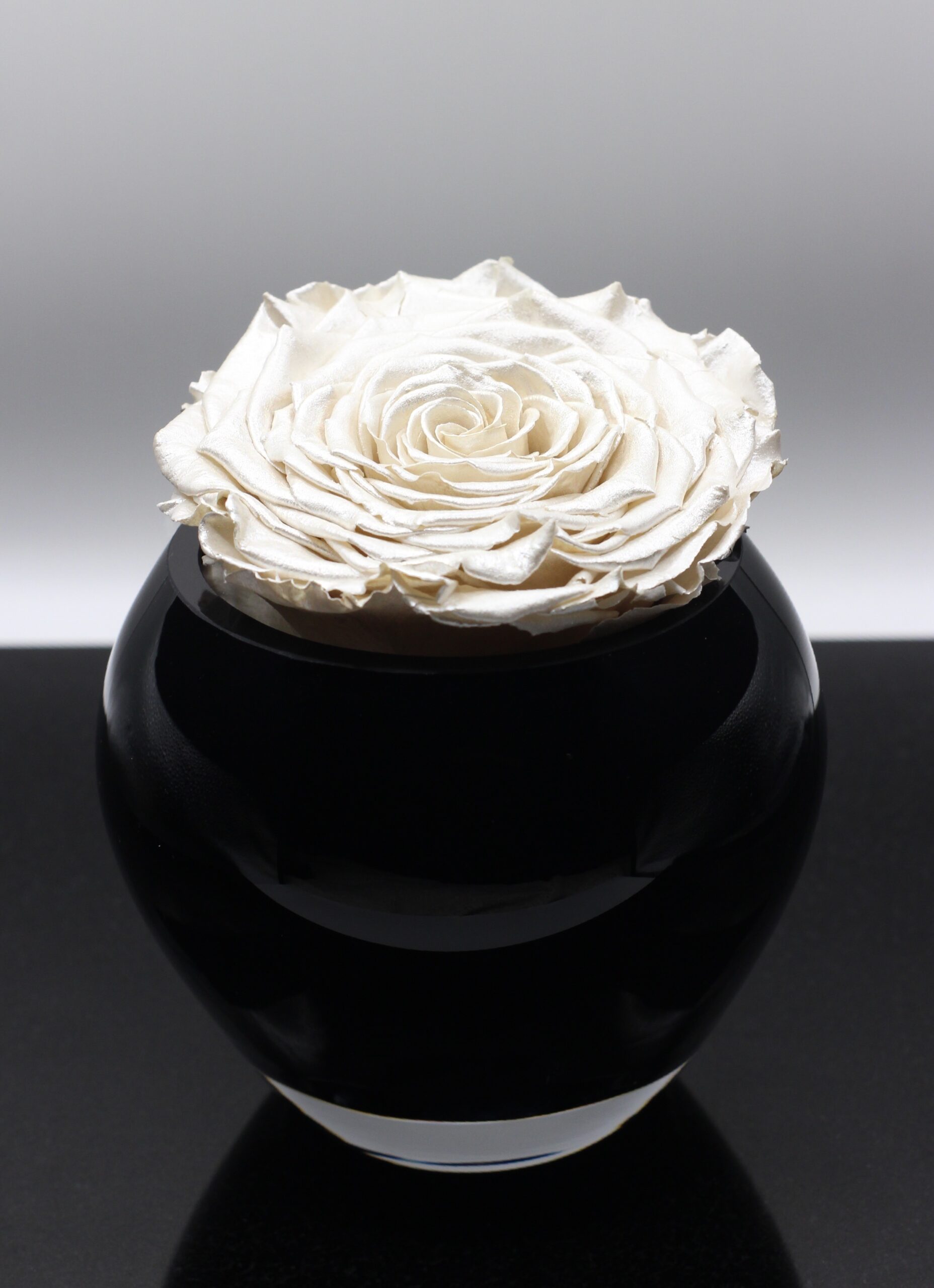 The Enigma – White Satin – Eternal Roses