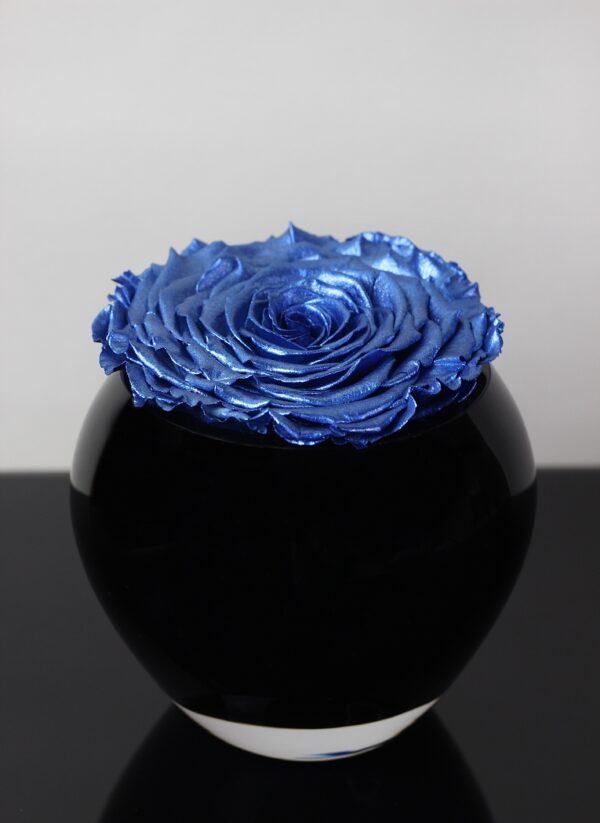 The Enigma – Electric Blue – Eternal Roses