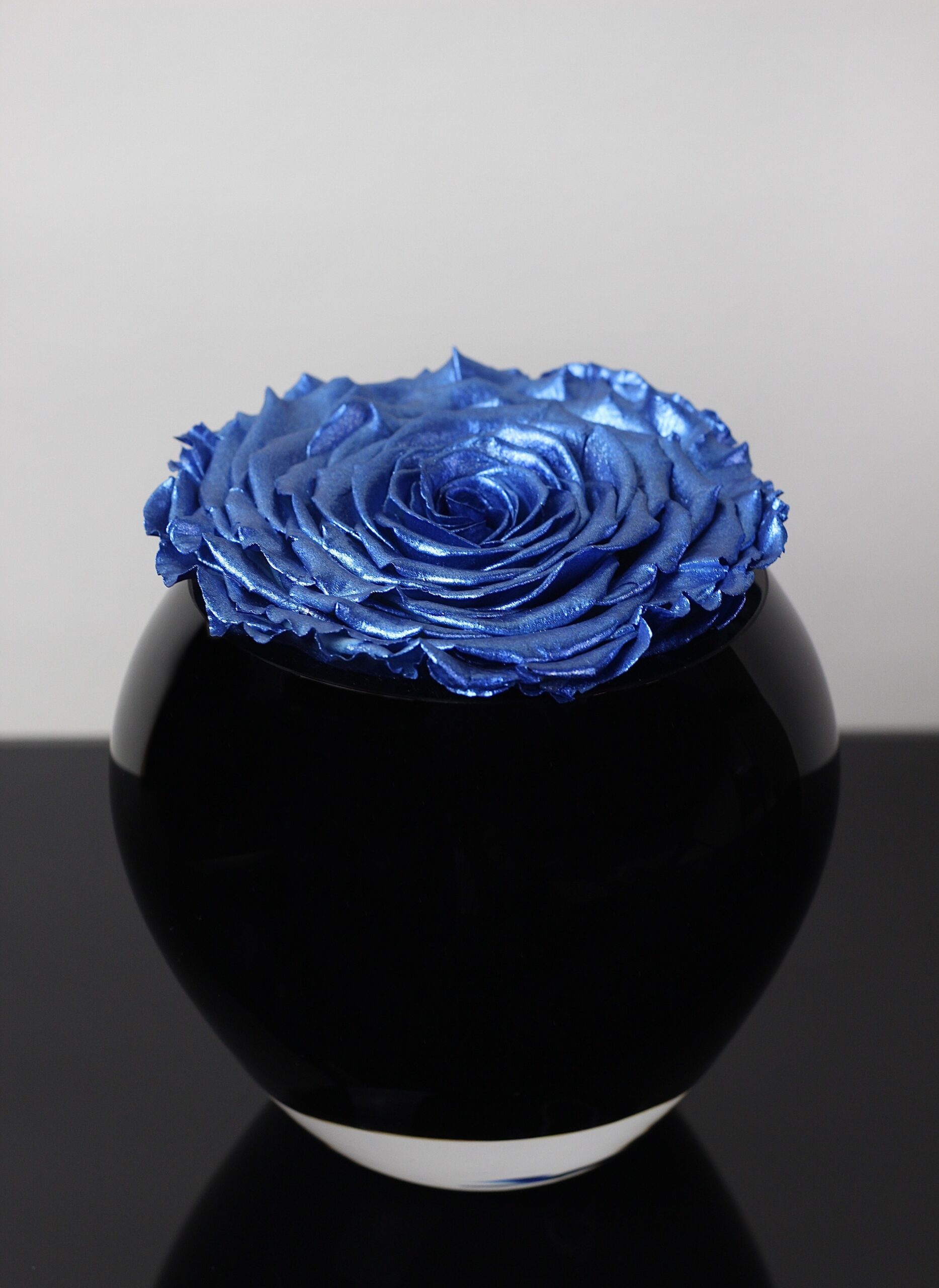 The Enigma – Electric Blue – Eternal Roses