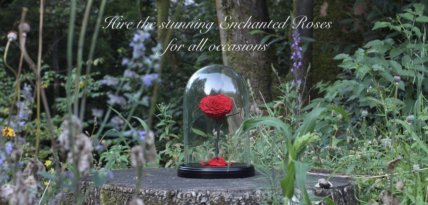 Eternal Roses – Timeless & Treasured Real Roses.